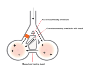 What is PEP? – CF Physio