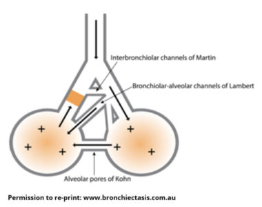 Principles Of Airway Clearance – CF Physio